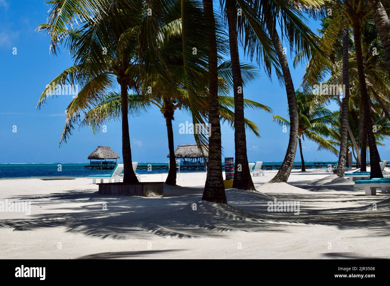 A tropical beach with white sand, palm trees, lounge chairs, palapas ...