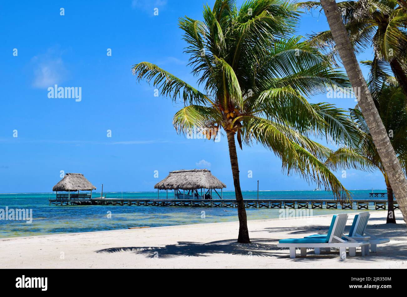 A typical view on Ambergris Caye, San Pedro, Belize of a beach, lounge ...