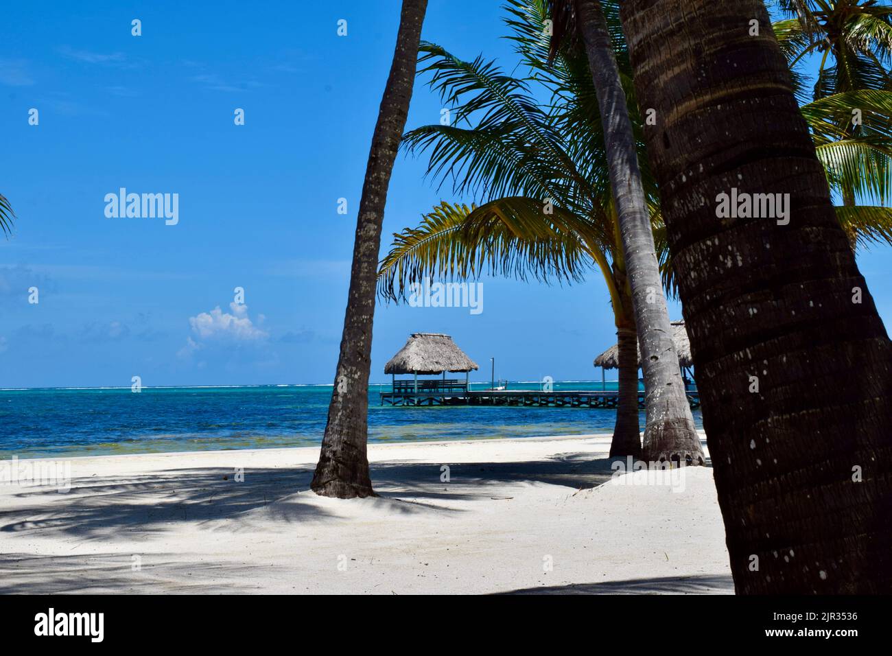An idyllic view of a palapa, pier, white sandy beach, and palm trees on ...