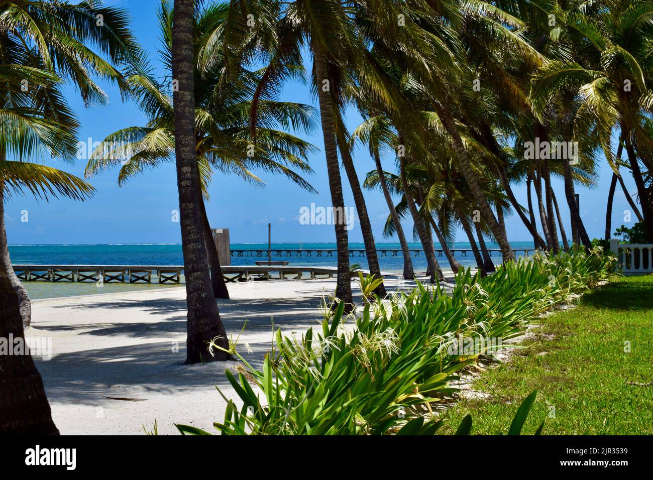 A tropical scene on Ambergris Caye, San Pedro, Belize, with a pier ...