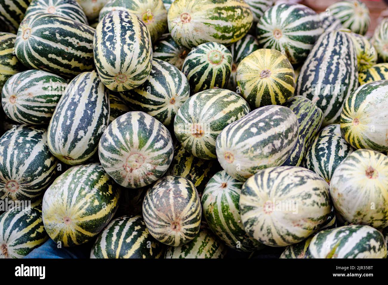 Foods plant hi-res stock photography and images - Alamy