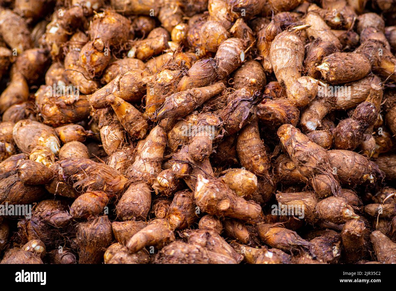 Taro root hi-res stock photography and images - Alamy