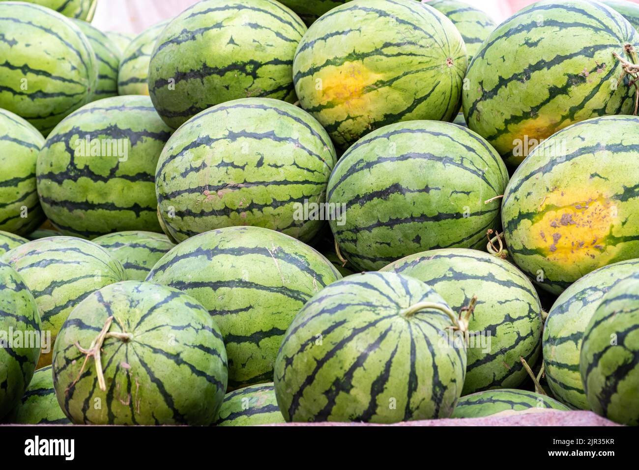 many water melons,Fresh water melons in the market Stock Photo - Alamy