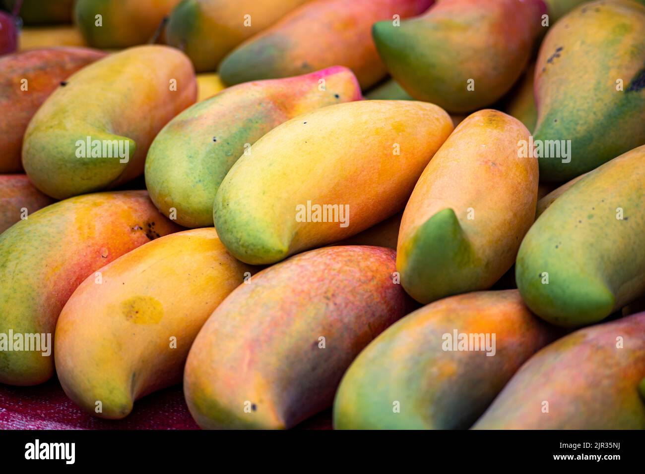 Close-up Many Fresh mangoes in the market, Sour fruit,Used for ...