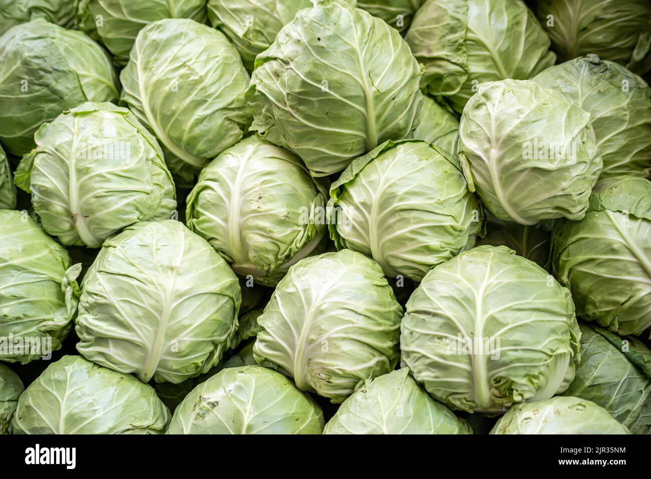 Green cabbage sale hi-res stock photography and images - Alamy