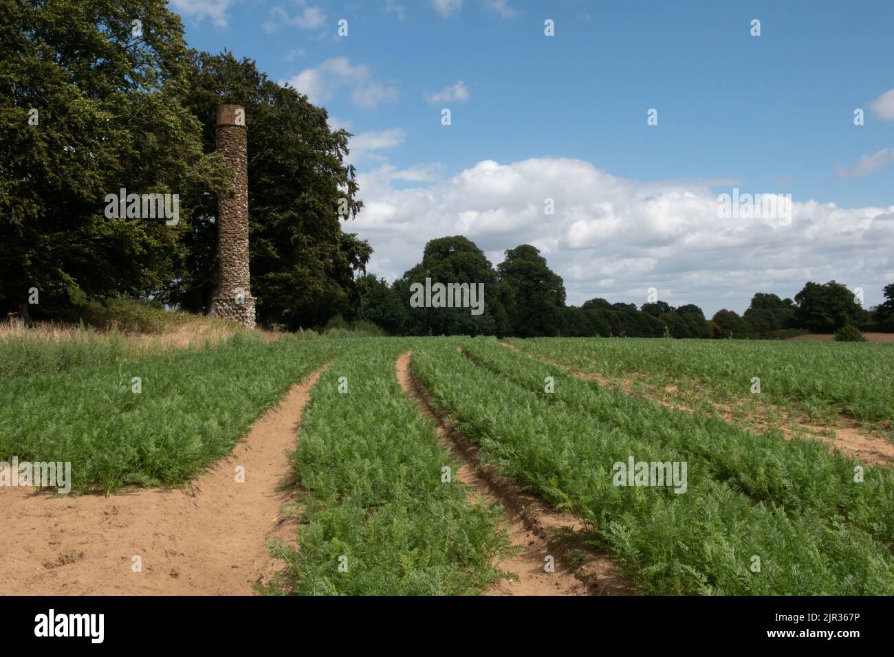 The Fish Tower, Barwick Park, Yeovil, England, UK Stock Photo - Alamy