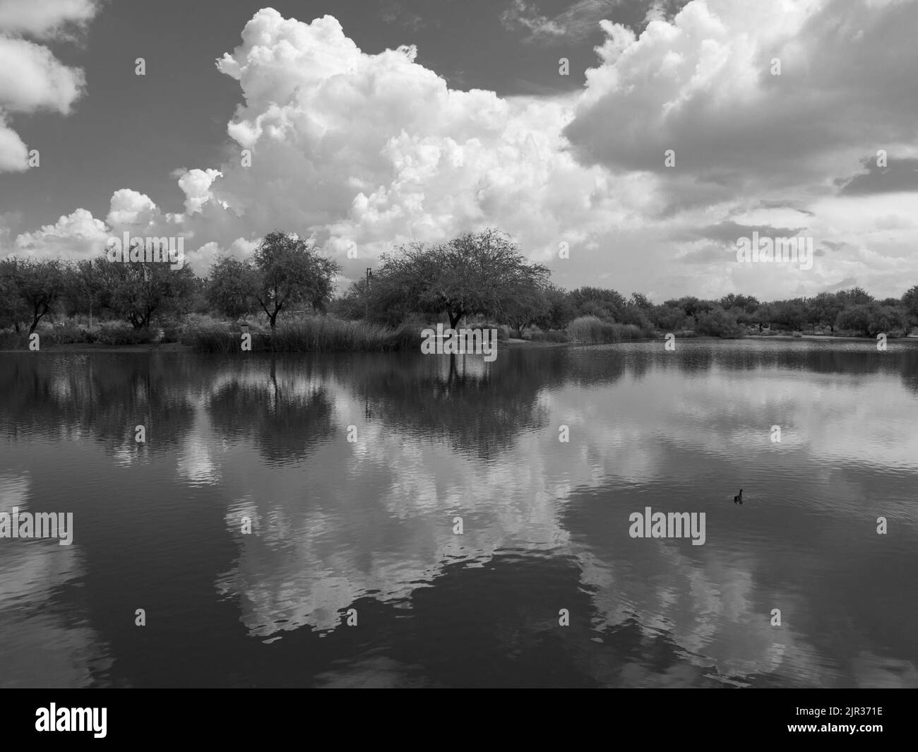 Storm clouds build in the Arizona desert during an active summer ...