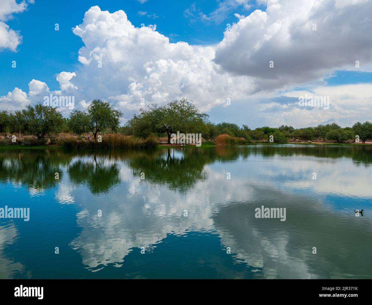 Storm clouds build in the Arizona desert during an active summer ...