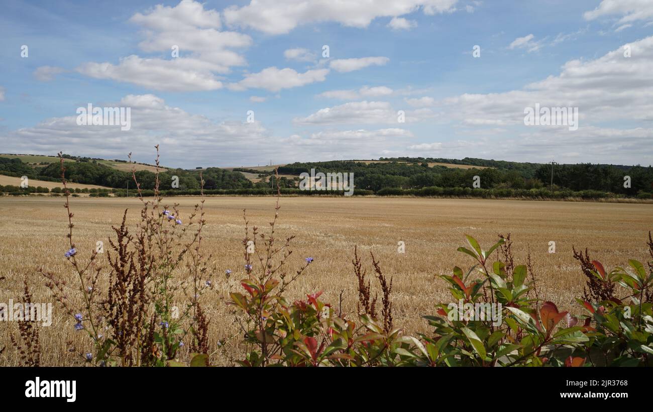 Hull, East Yorkshire Landscape Stock Photo - Alamy