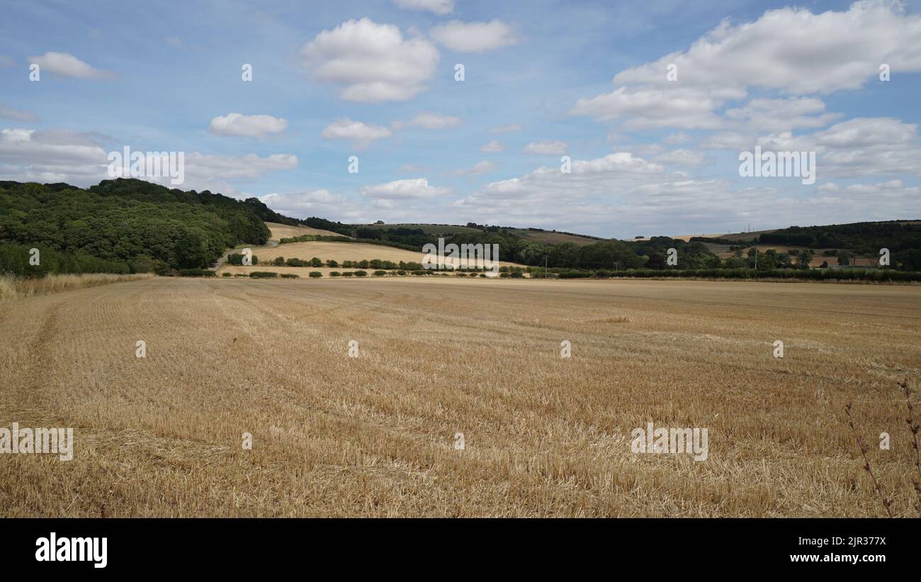Hull, East Yorkshire Landscape Stock Photo - Alamy