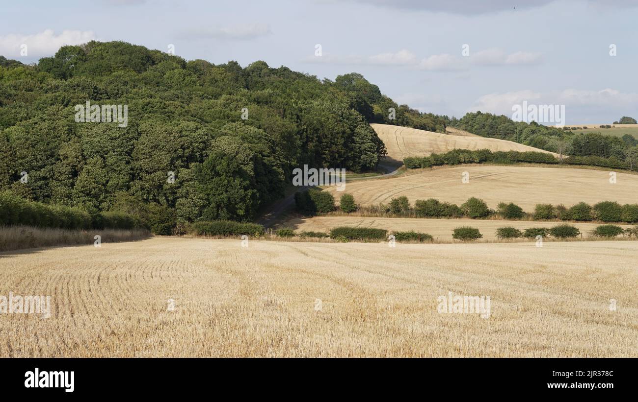 Hull, East Yorkshire Landscape Stock Photo - Alamy