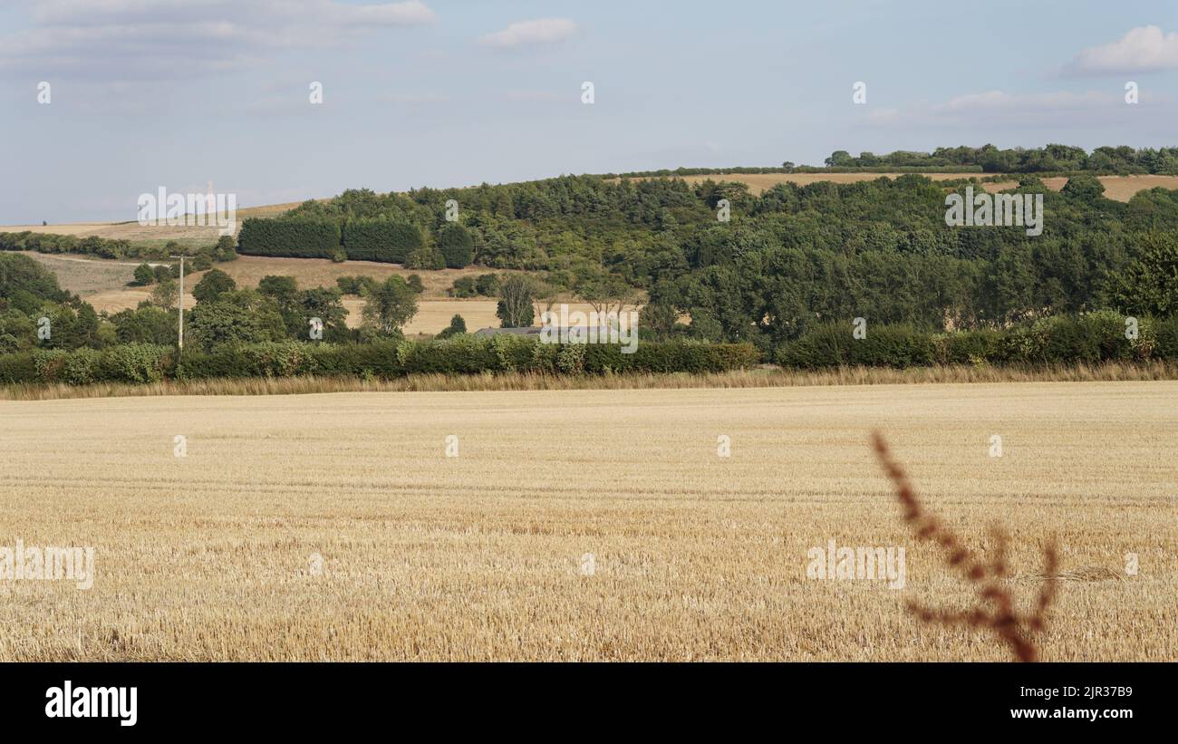 Hull, East Yorkshire Landscape Stock Photo - Alamy