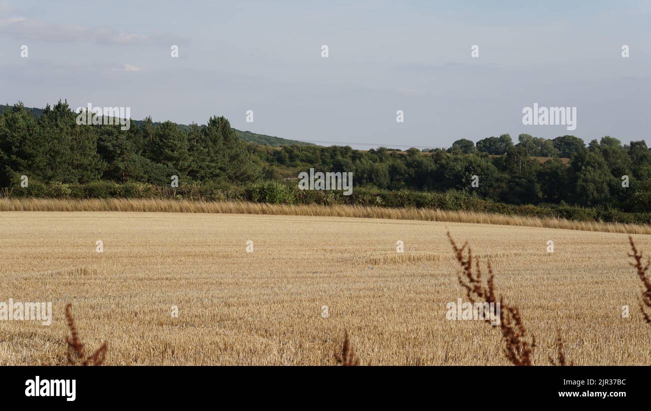 Hull, East Yorkshire Landscape Stock Photo - Alamy