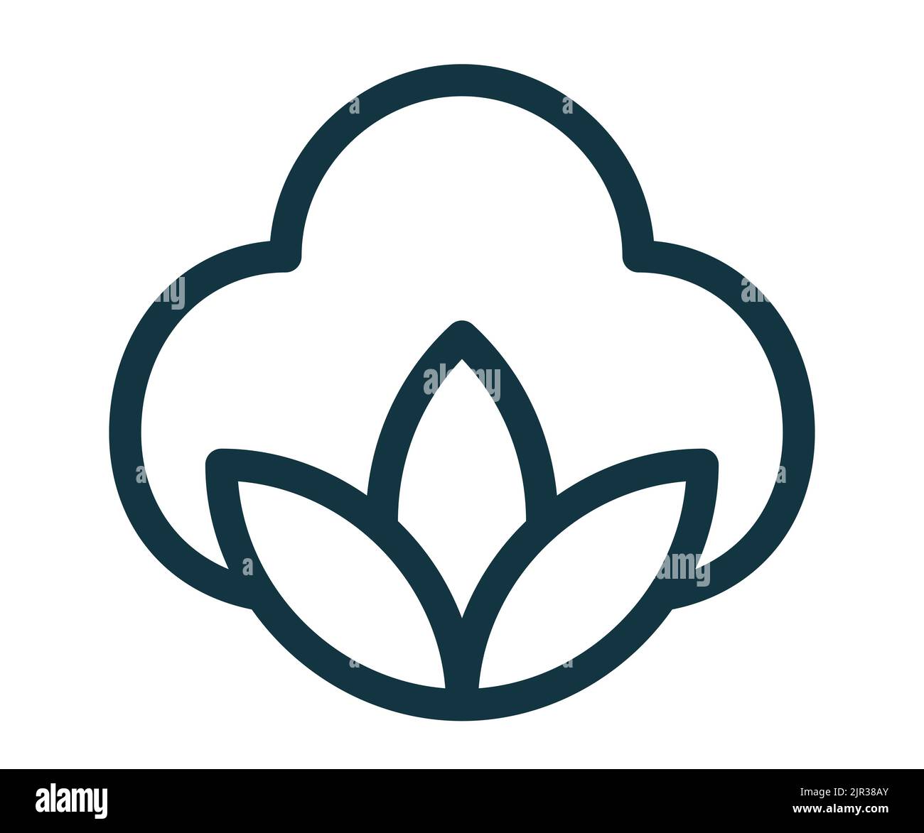 Cotton illustration Cut Out Stock Images & Pictures - Alamy