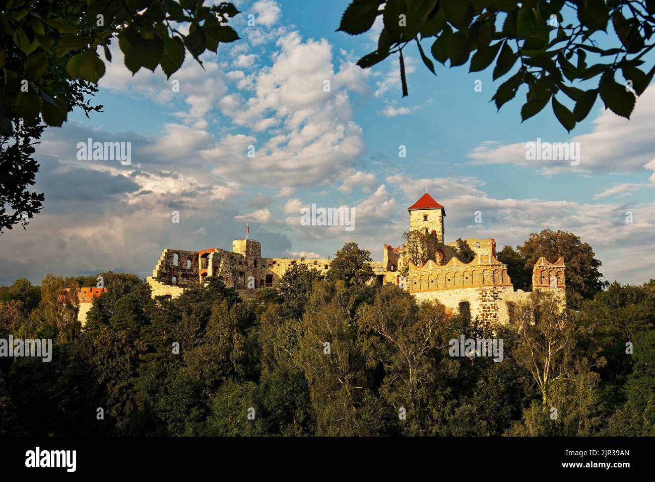 Tenczyn Castle is medieval castle in village Rudno in the Polish Jura ...