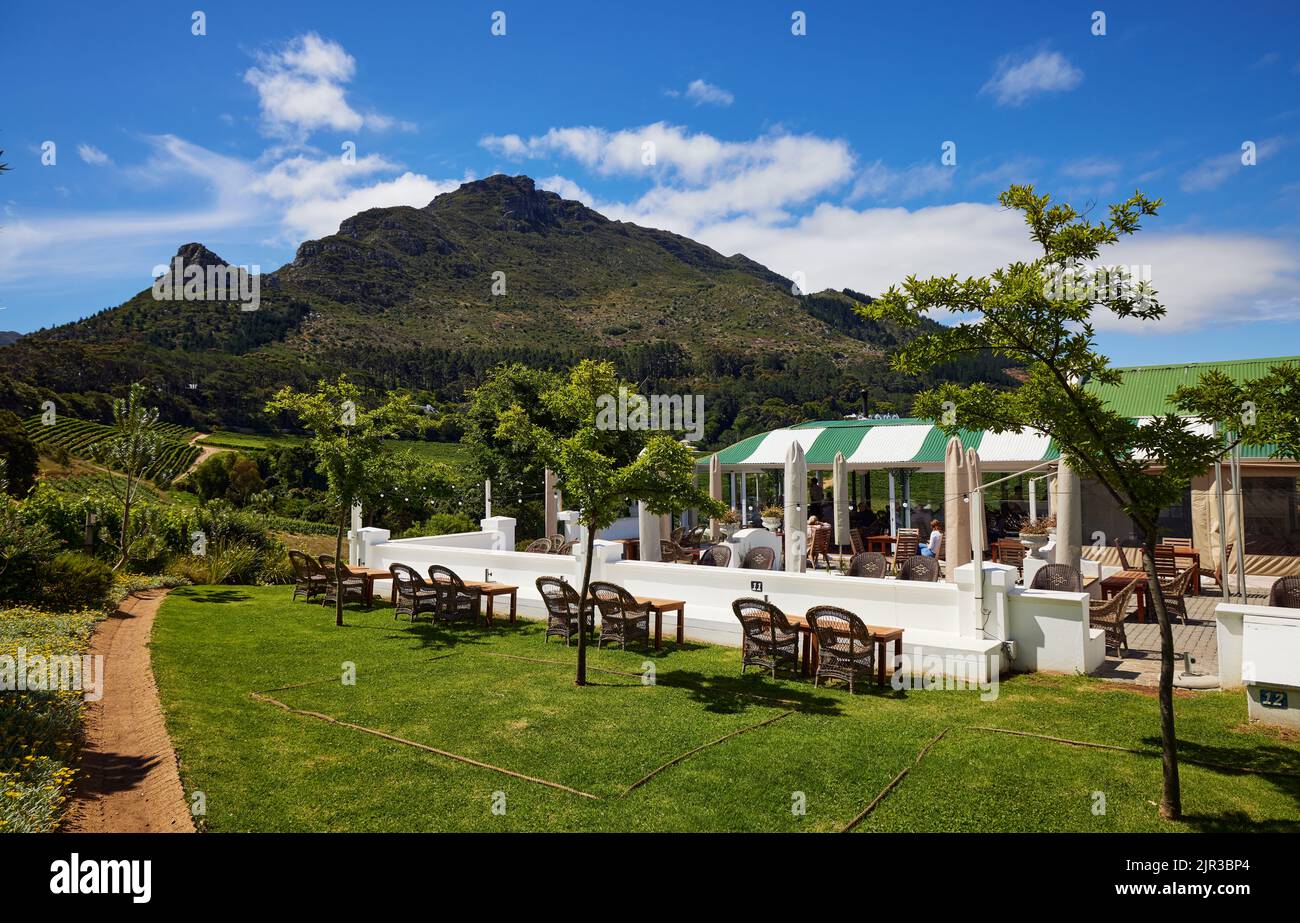A landscape green field of Constantia Glen Wine estate in Cape Town ...