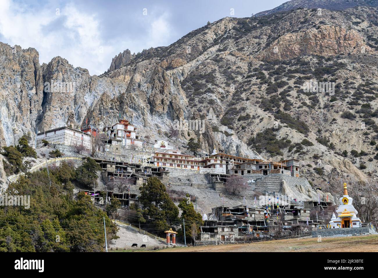 The Bhakra Buddhist Monastery under snowy Annapurna circuit mountains ...