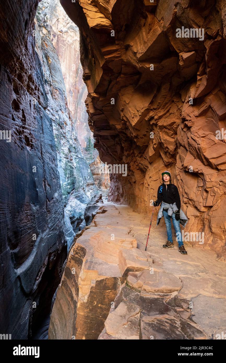Teen boy hiking in Zion National Park, Utah USA Stock Photo - Alamy