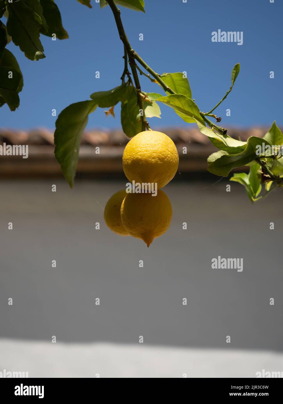Terracotta greek fruit hi-res stock photography and images - Alamy