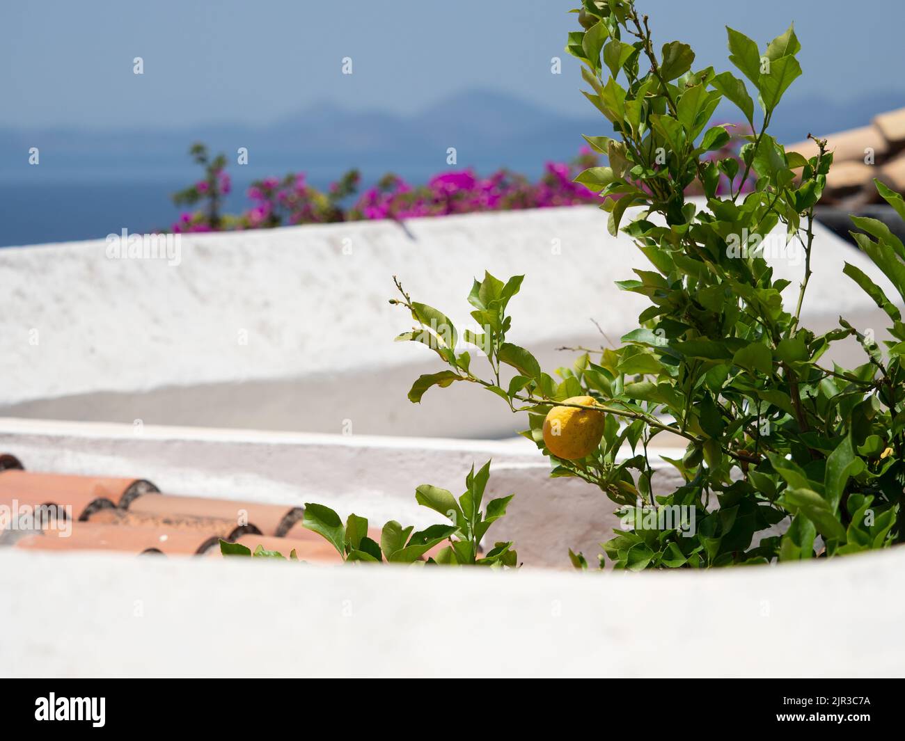 Terracotta greek fruit hi-res stock photography and images - Alamy