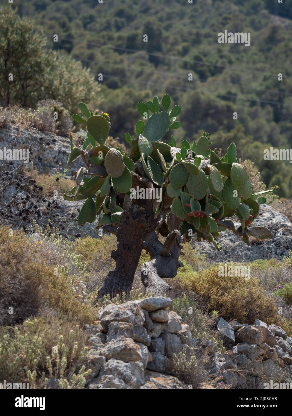 Sarconic islands hi-res stock photography and images - Alamy