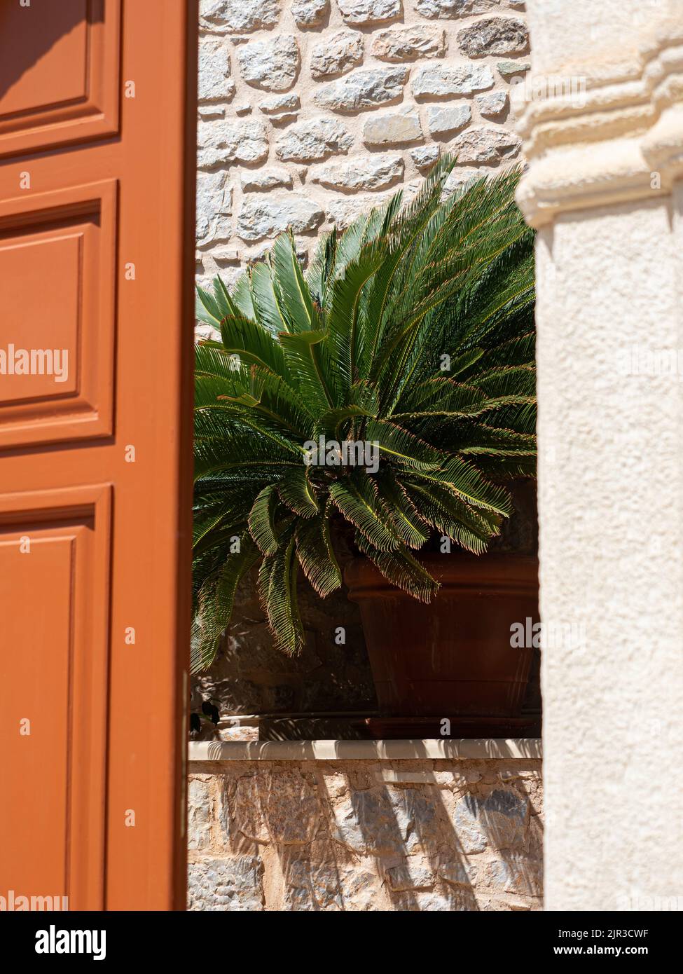 Greek scene, different textures, plant, bricks, shade, mediterranean ...