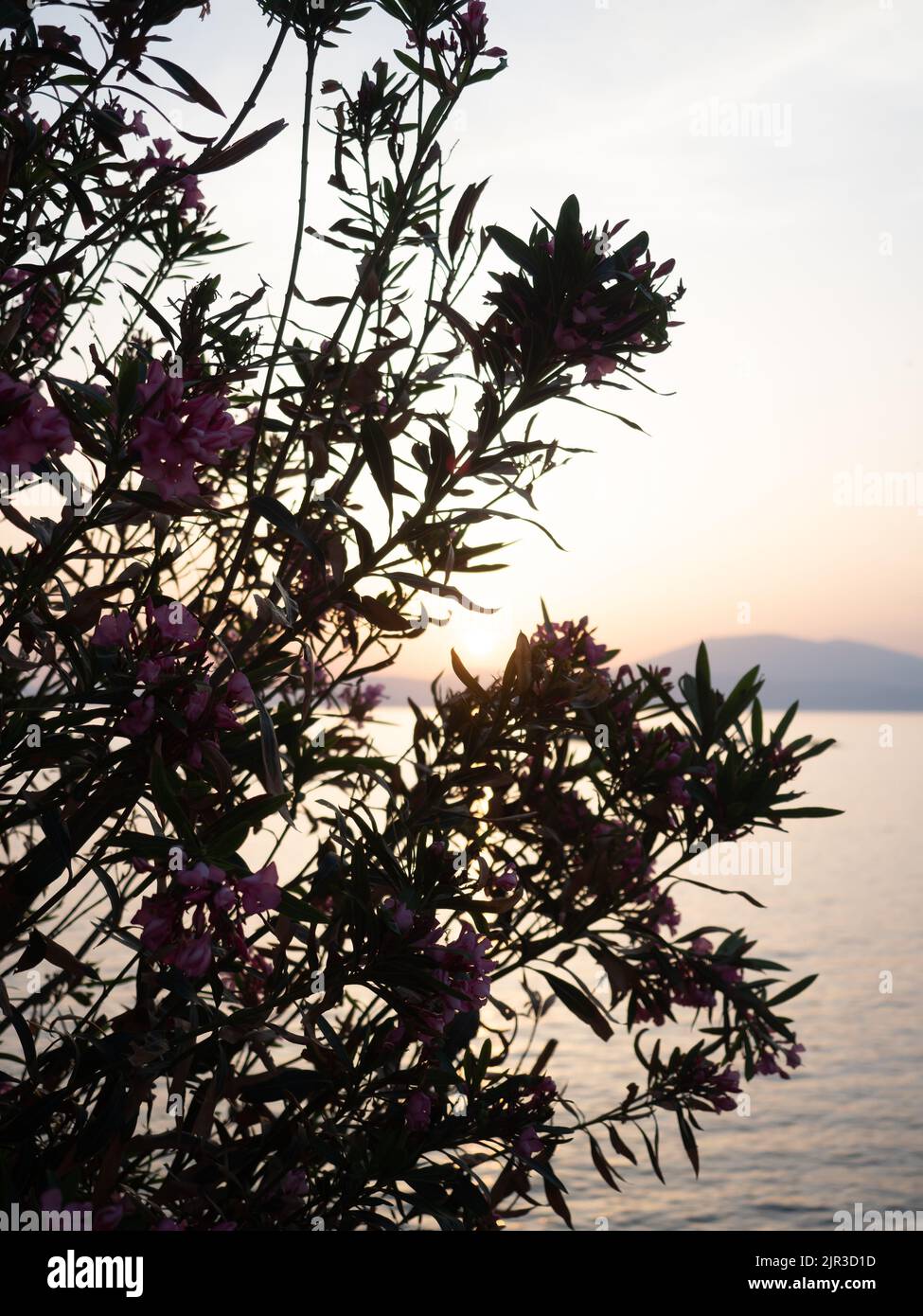 Authentic hydra island hi-res stock photography and images - Alamy