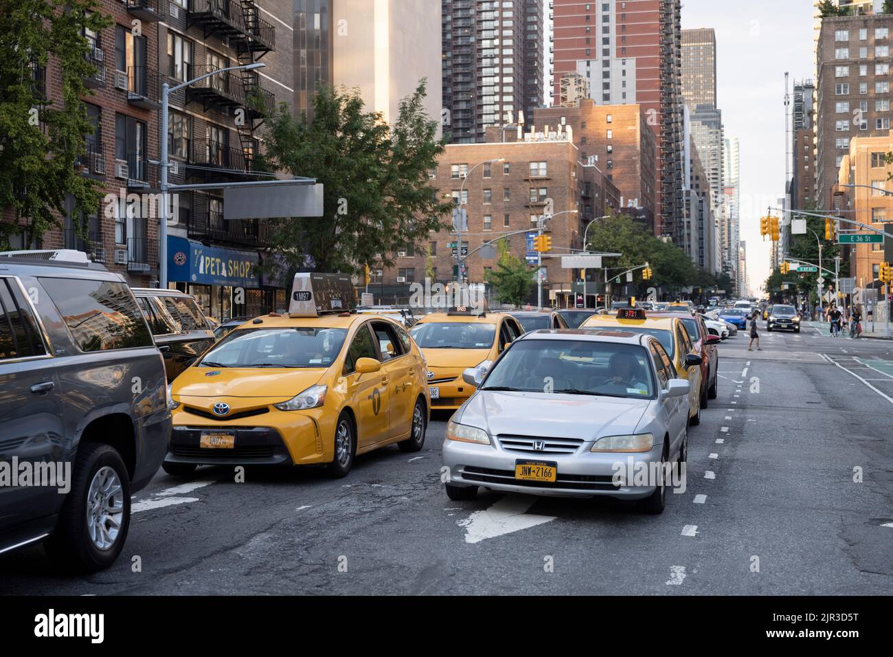 New York, New York, USA. 20th Aug, 2022. August 20, 2022: New York City ...