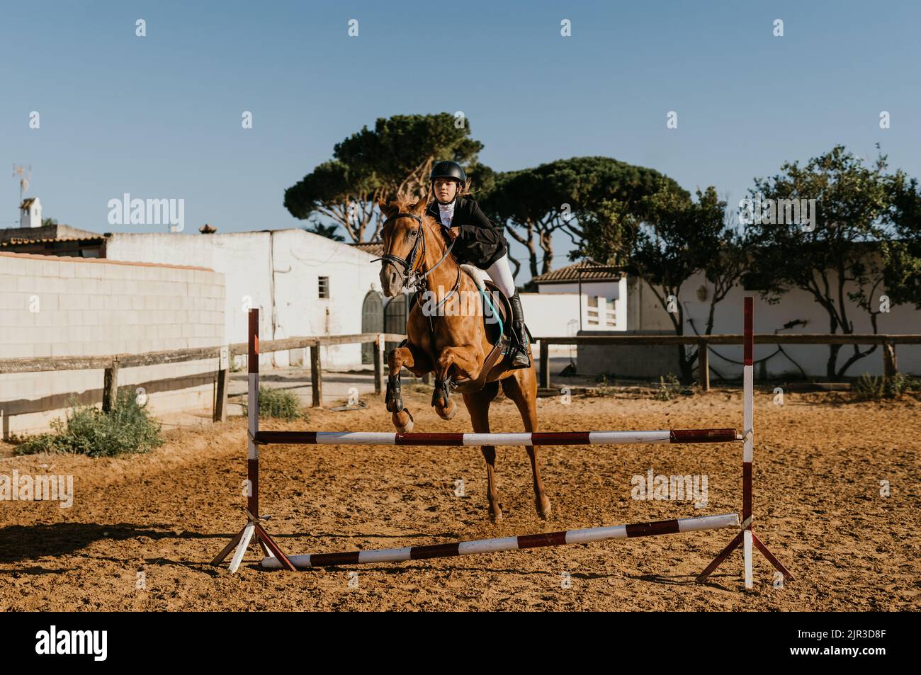 teenager on a brown horse jumps over obstacles at a riding school Stock ...