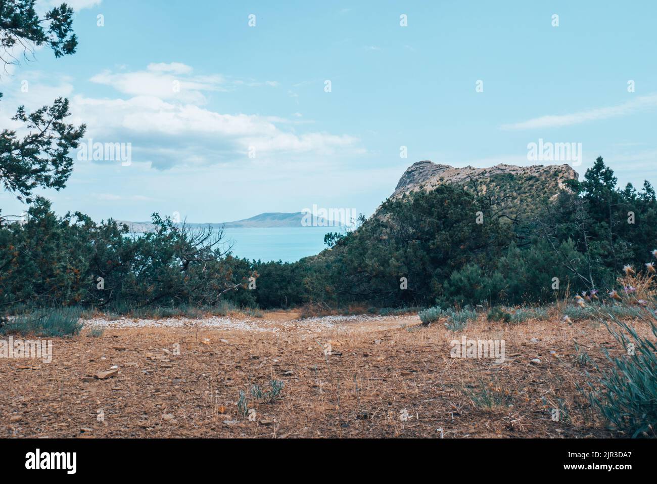 View green trees bushes hi-res stock photography and images - Alamy