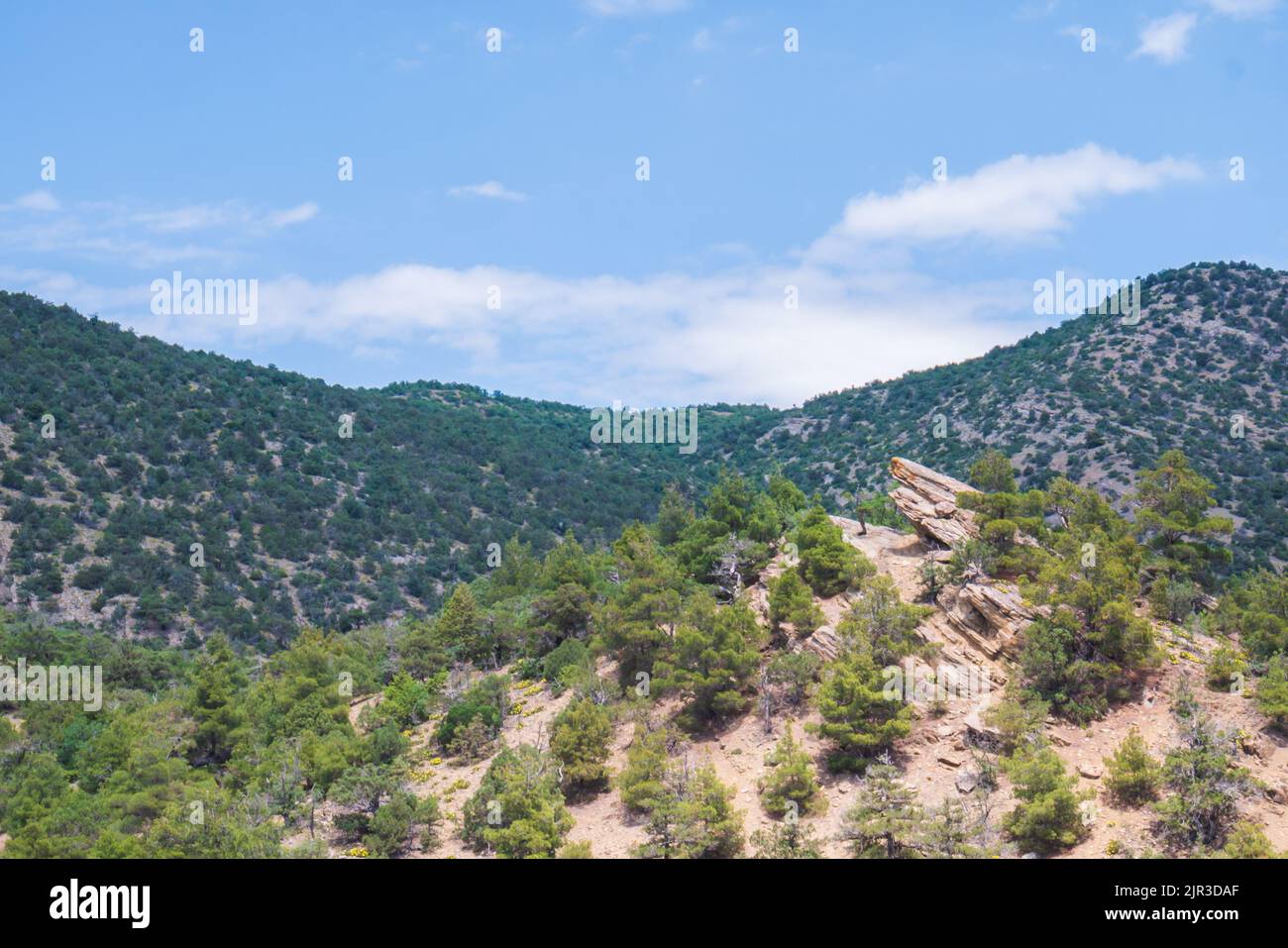 Large mountains with trees and bushes Stock Photo - Alamy