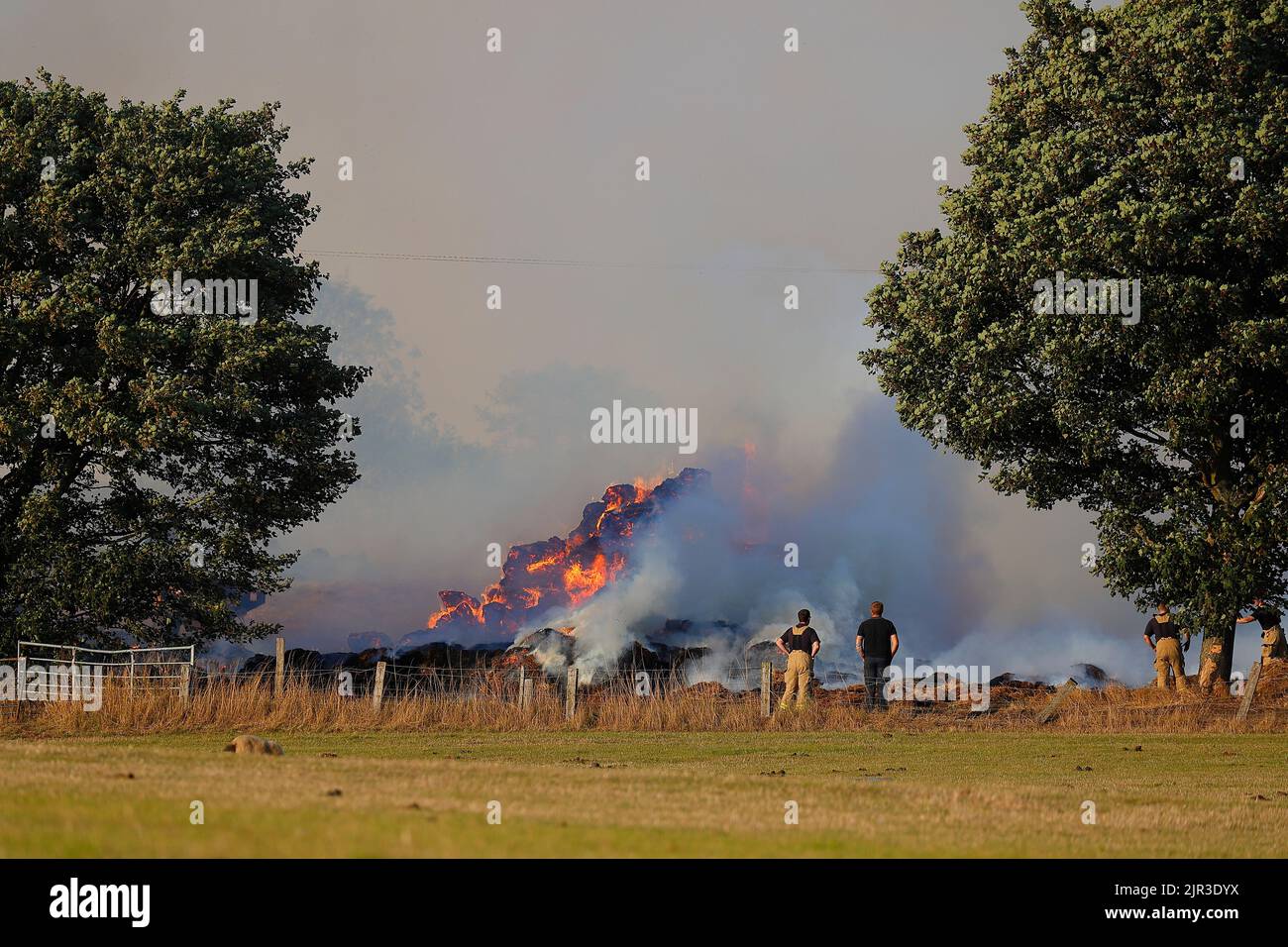 Hall road fire leeds hi-res stock photography and images - Alamy