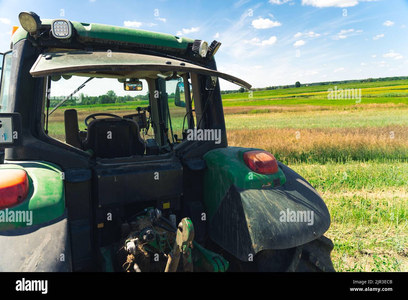 The origins of rapeseed oil concept. Closeup shot of the back of ...