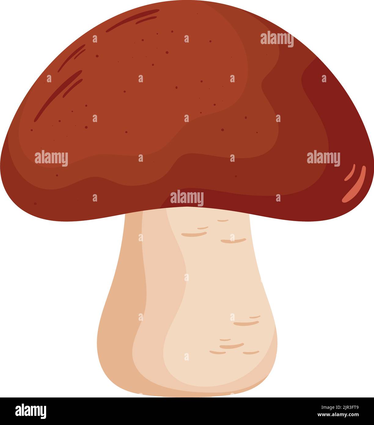 fresh mushroom vegetable Stock Vector Image & Art - Alamy