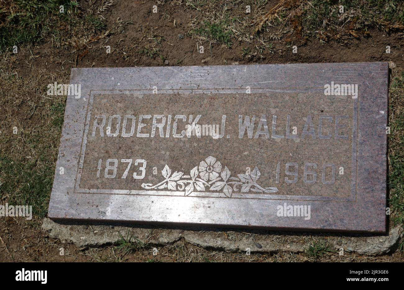 Inglewood, California, USA 19th August 2022 MLB Baseball Player ...