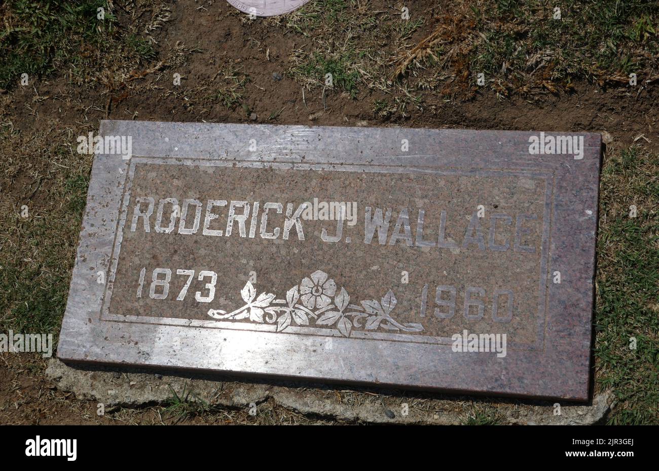 Inglewood, California, USA 19th August 2022 MLB Baseball Player ...