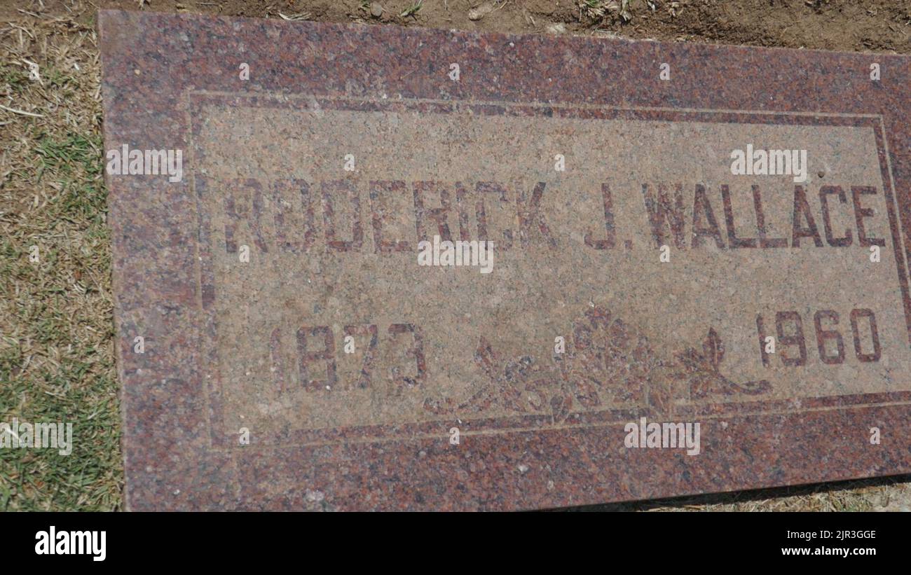 Inglewood, California, USA 19th August 2022 MLB Baseball Player ...