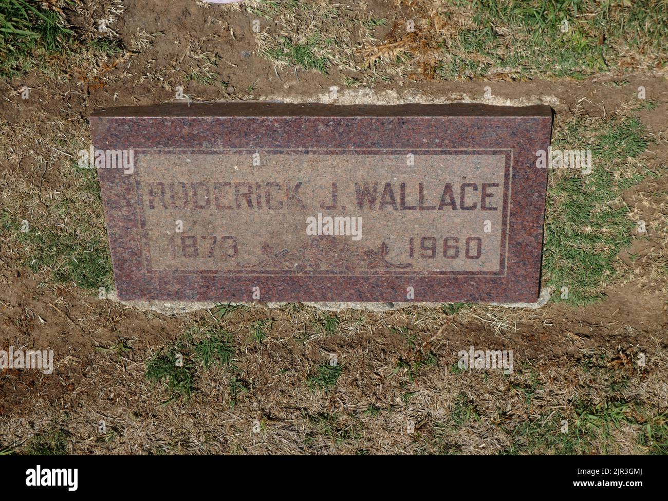 Inglewood, California, USA 19th August 2022 MLB Baseball Player ...