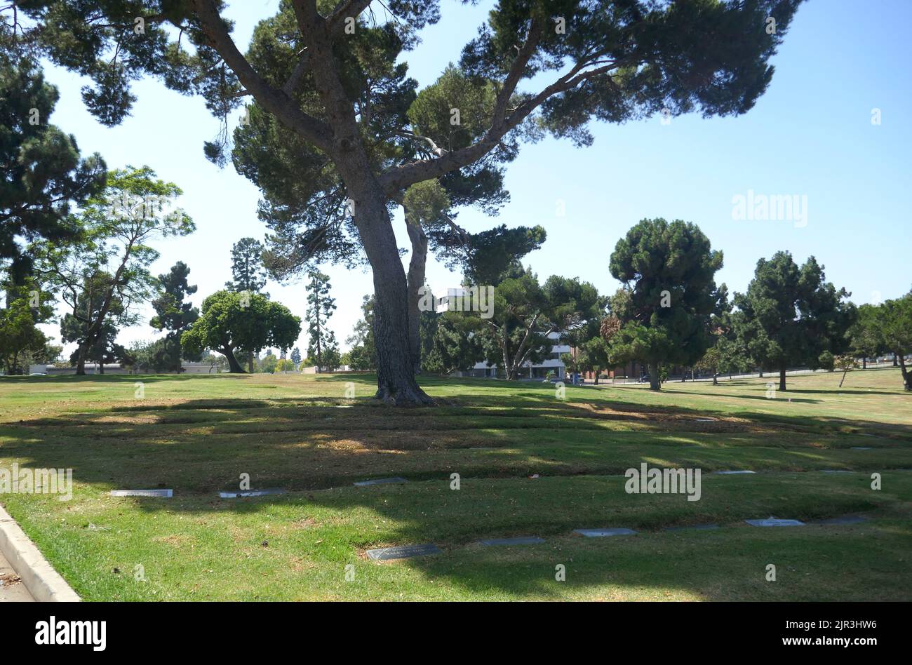 Inglewood, California, USA 19th August 2022 Inglewood Park Cemetery on ...