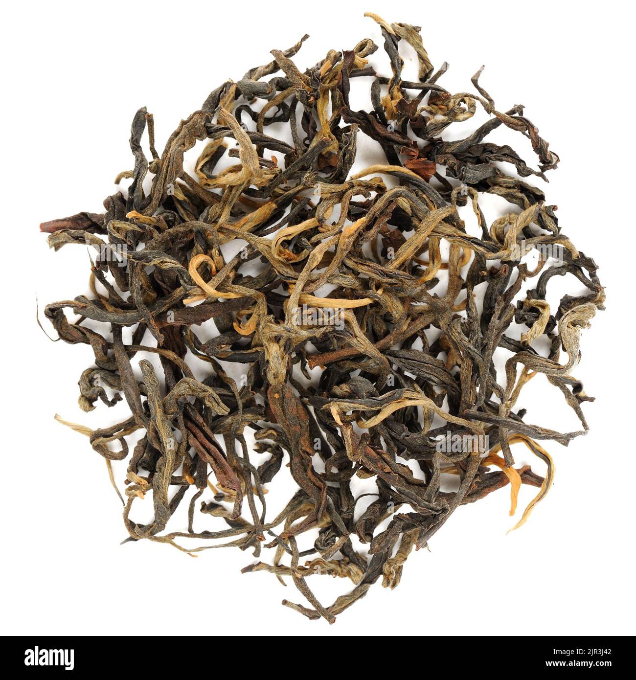 Mensong Yunnan red tea crop from Menghai area isolated Stock Photo - Alamy