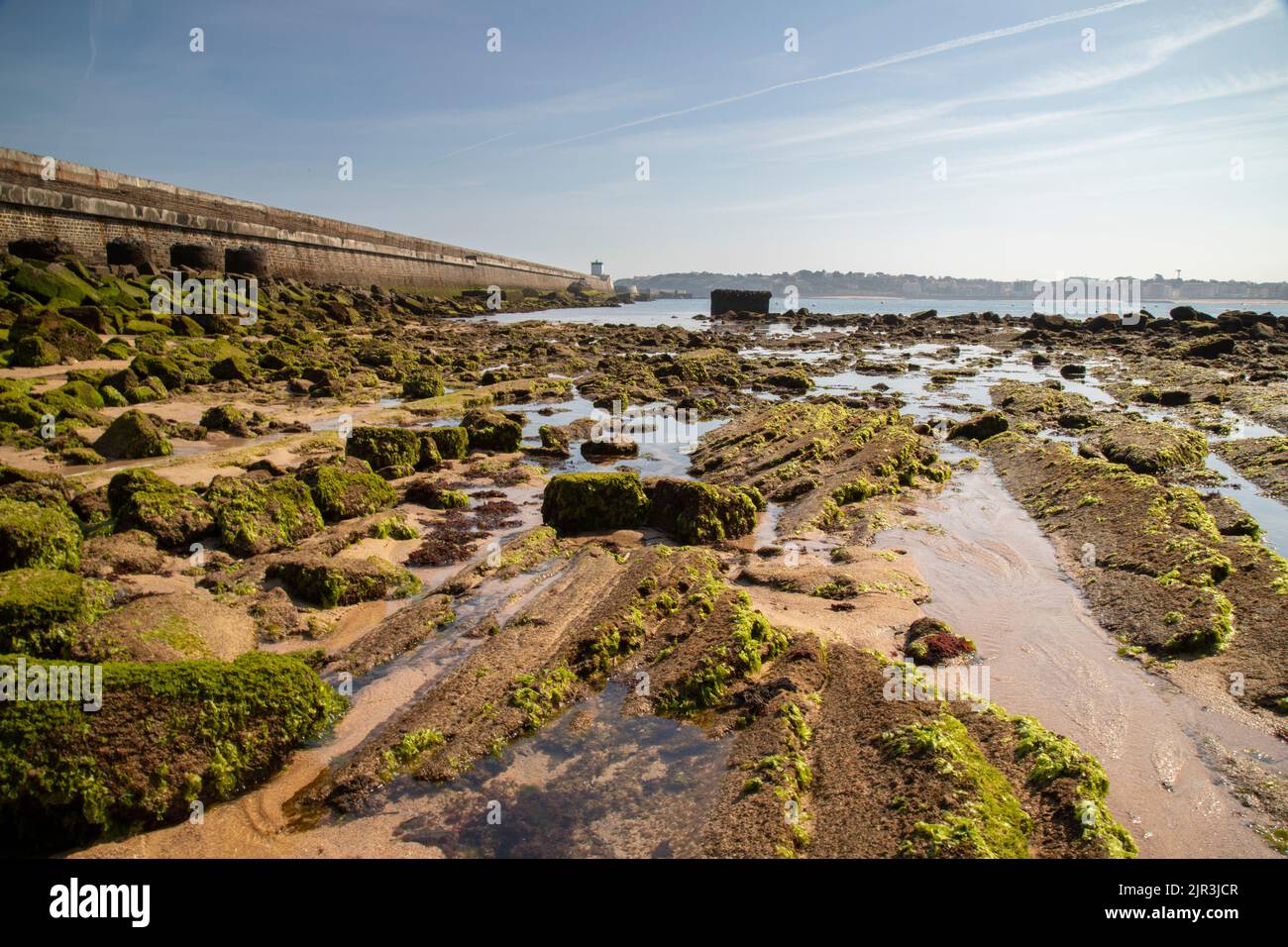 A beautiful seascape of mossy rocks on Socoa Beach in France in ...