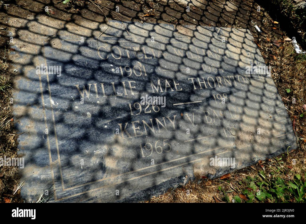 M plot section hi-res stock photography and images - Alamy