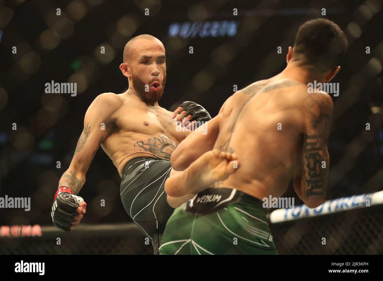 SALT LAKE CITY, UT - AUGUST 20: Sean Woodson and Luis Saldana meet in ...