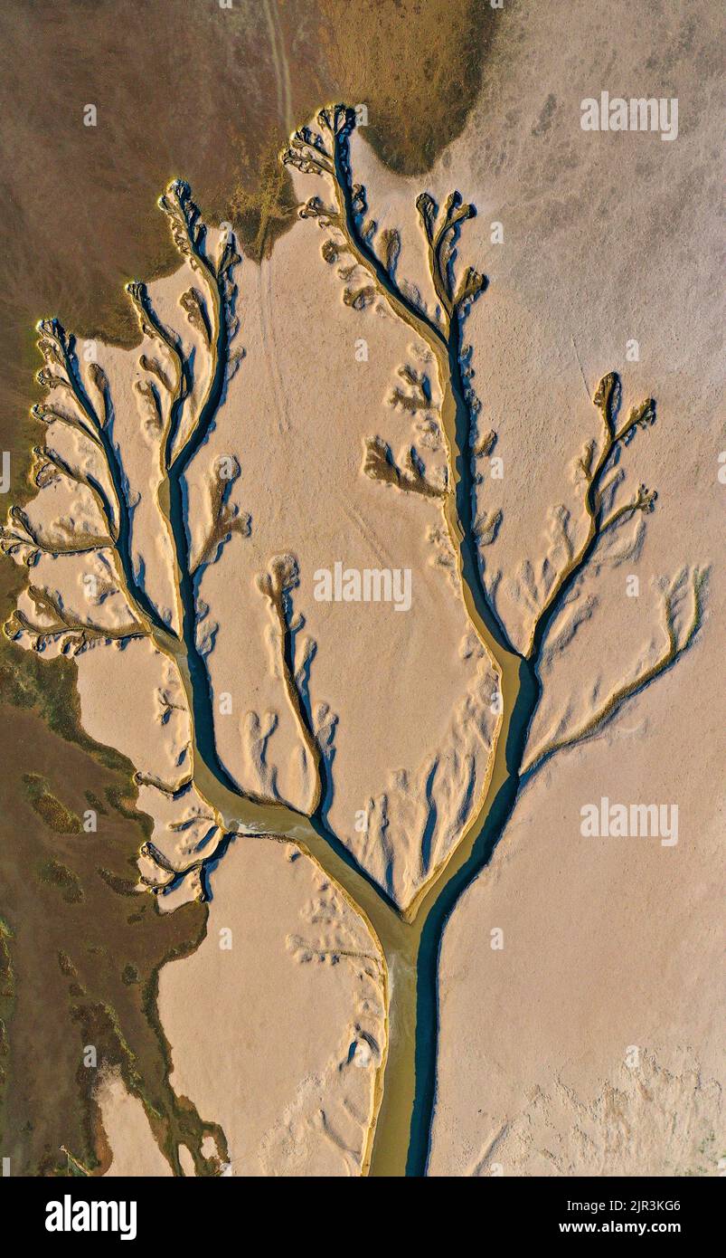 NANCHANG, CHINA - AUGUST 21, 2022 - An aerial photo shows a tree-shaped ...