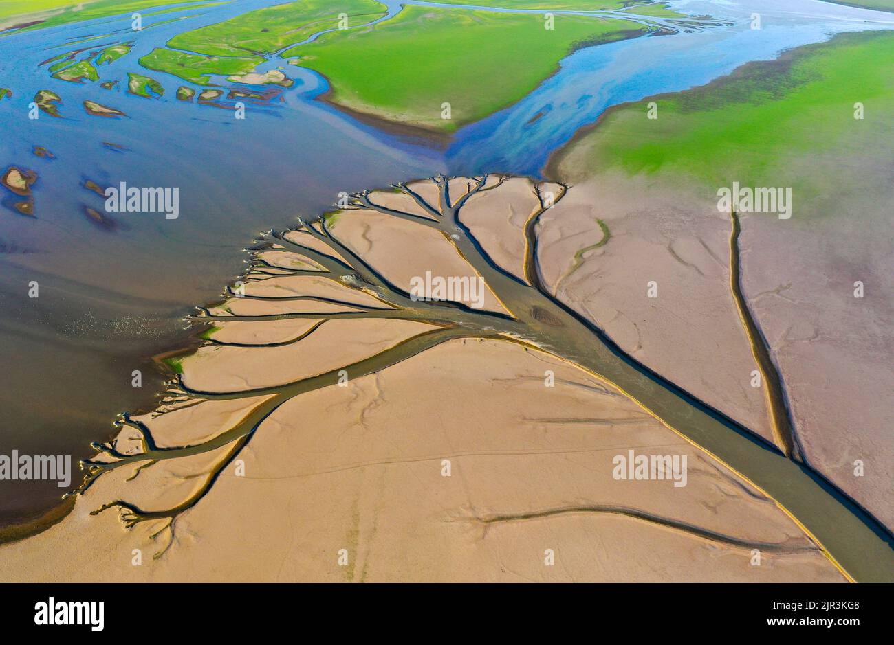 NANCHANG, CHINA - AUGUST 21, 2022 - An aerial photo shows a tree-shaped ...