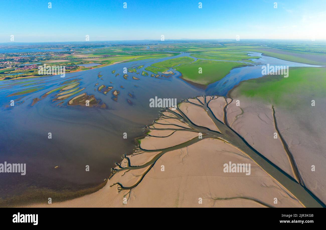 NANCHANG, CHINA - AUGUST 21, 2022 - An aerial photo shows a tree-shaped ...