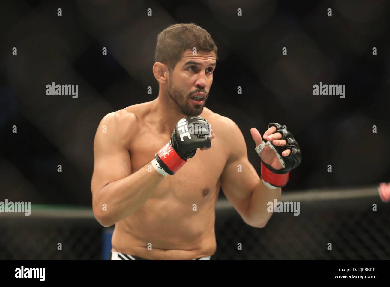 SALT LAKE CITY, UT - AUGUST 20: Jared Gordon and Leonardo Santos meet ...