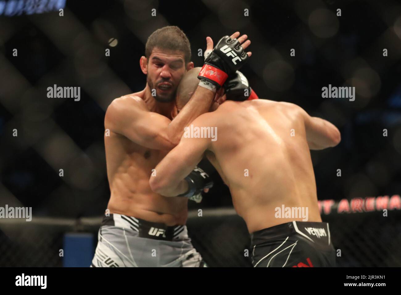 SALT LAKE CITY, UT - AUGUST 20: Jared Gordon and Leonardo Santos meet ...