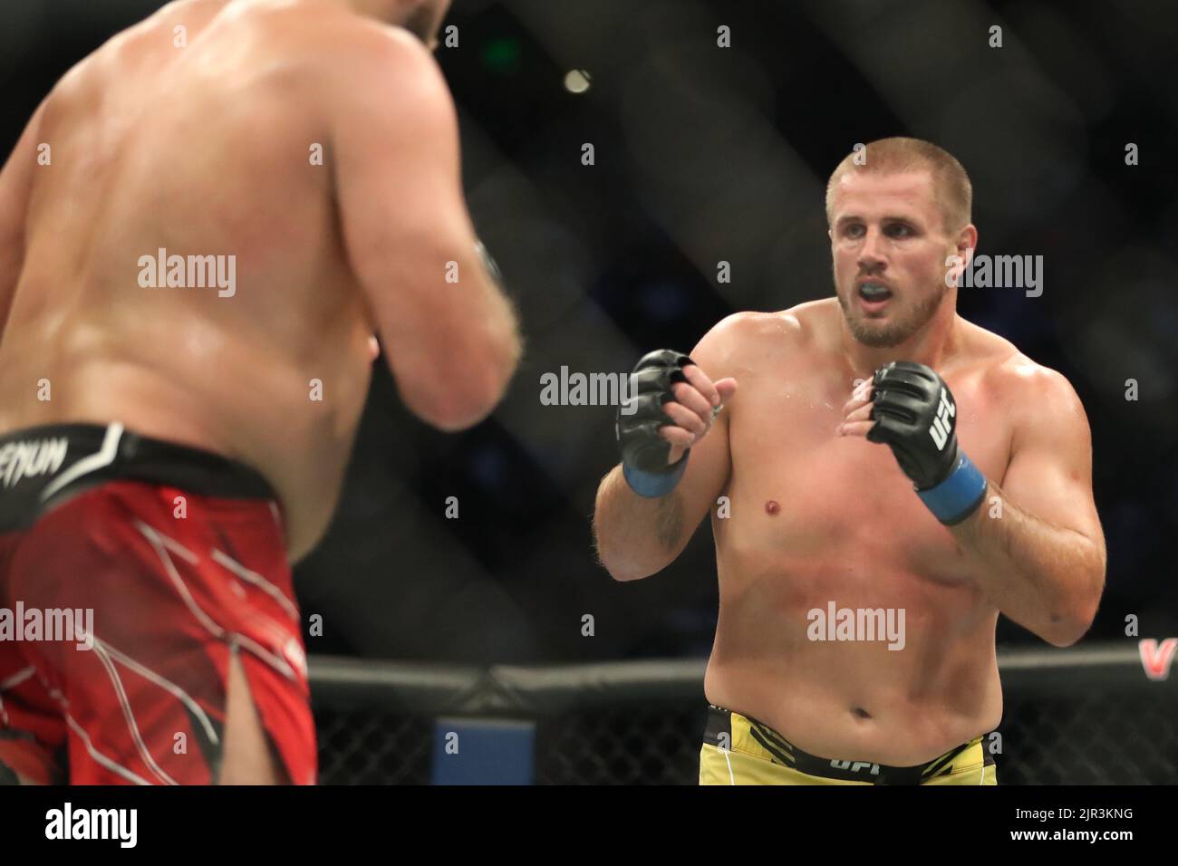 SALT LAKE CITY, UT - AUGUST 20: Marcin Tybura and Alexandr Romanov meet ...