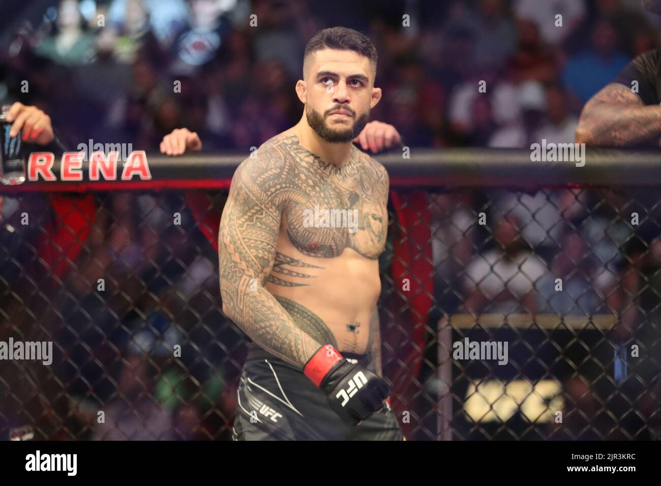 SALT LAKE CITY, UT - AUGUST 20: Tyson Pedro and Harry Hunsucker meet in ...